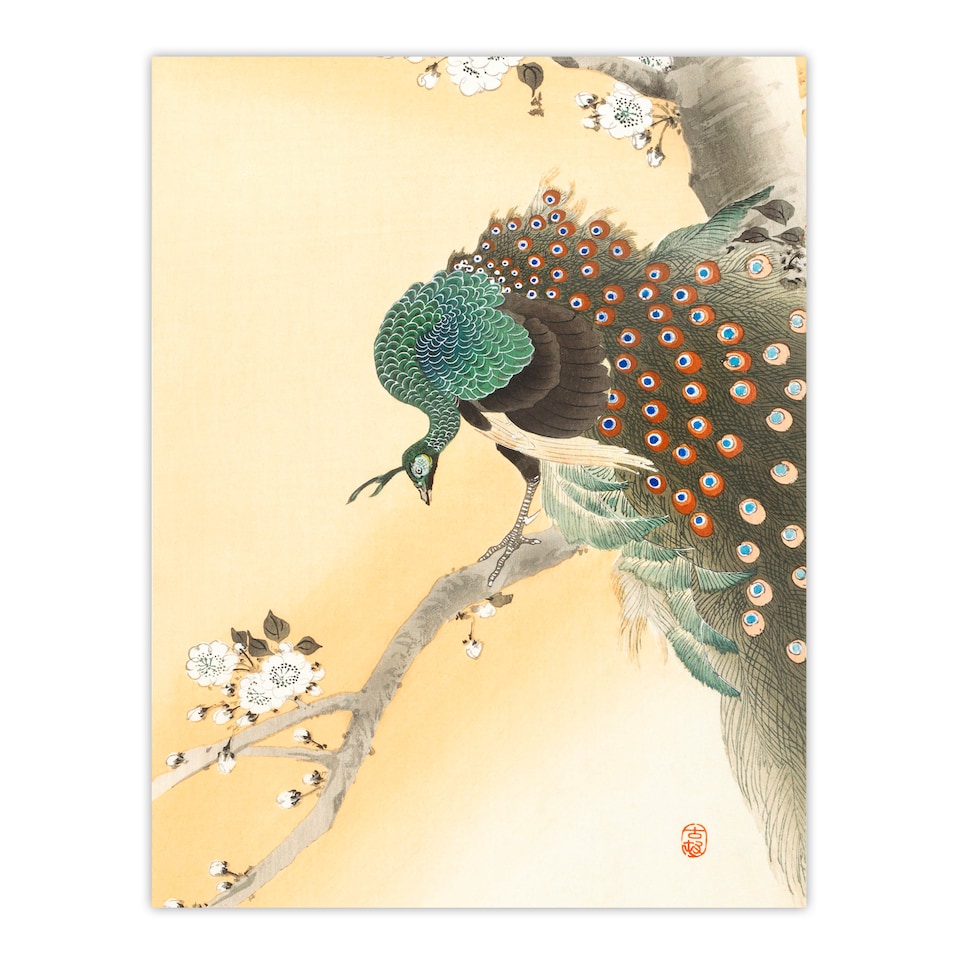 Ohara Koson Framed Wall Art Print Peacock On A Cherry Blossom Tree Home ...