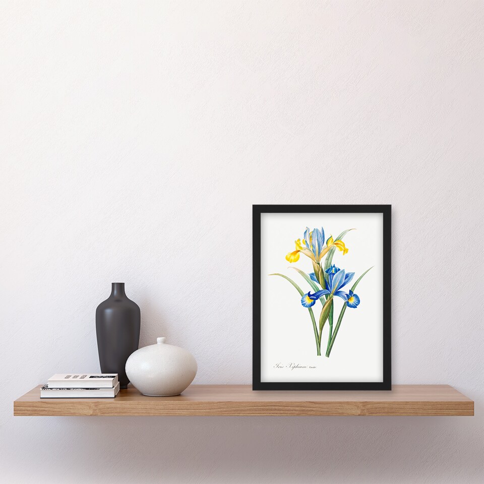 Redoute Framed Wall Art Spanish iris Vintage Botanical Illustration ...