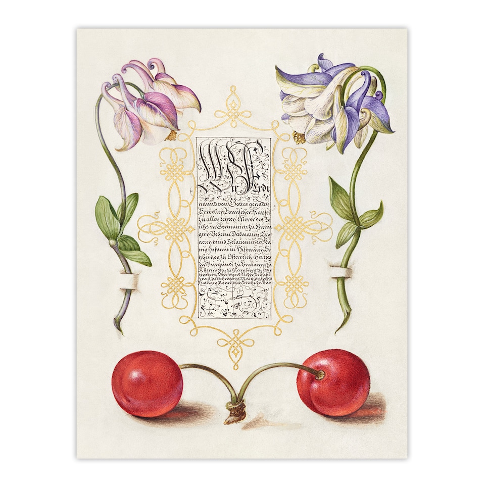 Model Book of Calligraphy Framed Wall Art Columbines and Sweet Cherries ...