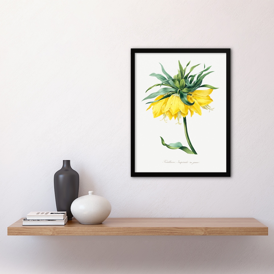 Pierre J Redoute Framed Wall Art Print Yellow Crown Imperial Flower ...