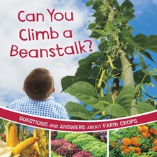 Can You Climb A Beanstalk - Tesco Groceries