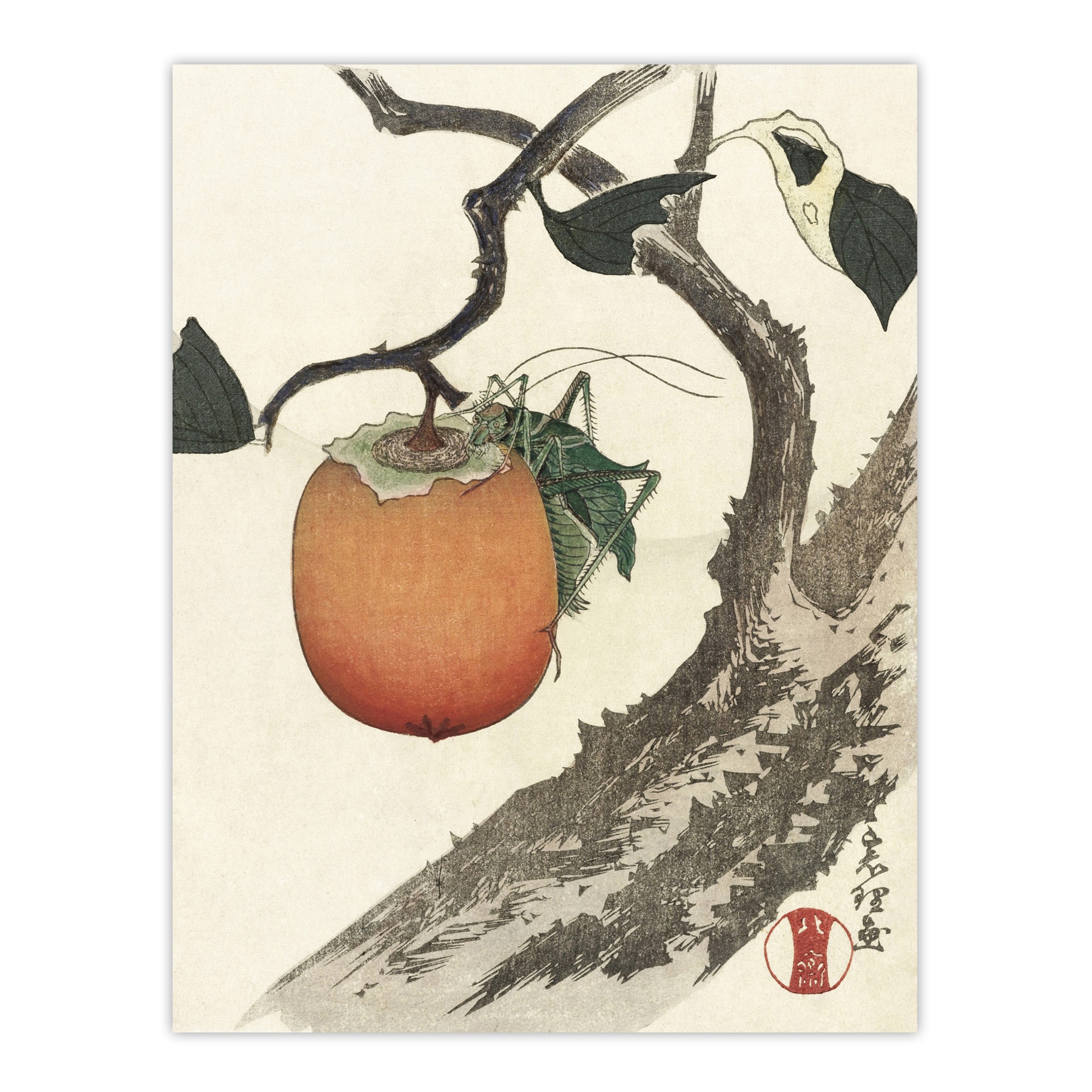Persimmon Fruit Grasshopper Vintage Japan Wall Art Print Hokusai 24x32 ...