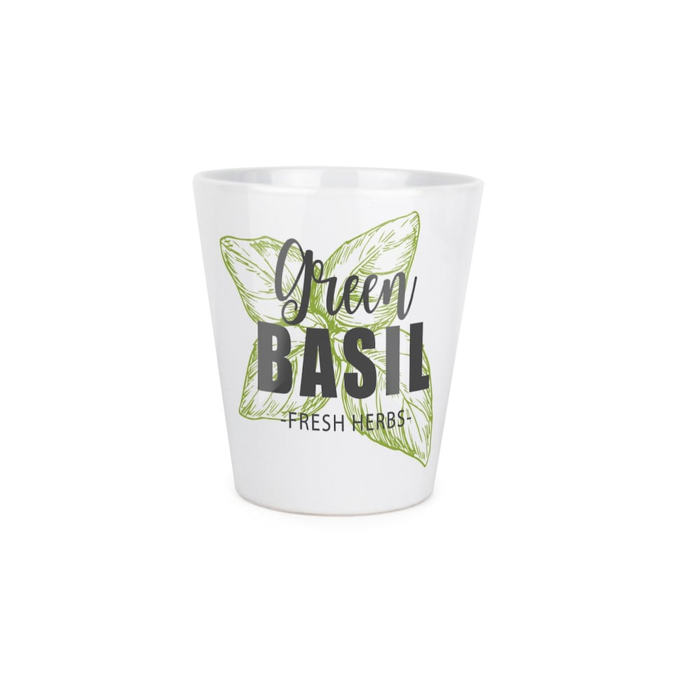 Fresh Green Herbs Small Ceramic Basil Plant Pot - Tesco Groceries