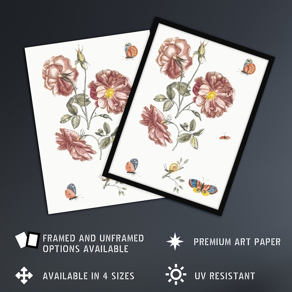 Rose Flowers Butterflies and a Snail Teyler Wall Art Poster Print ...