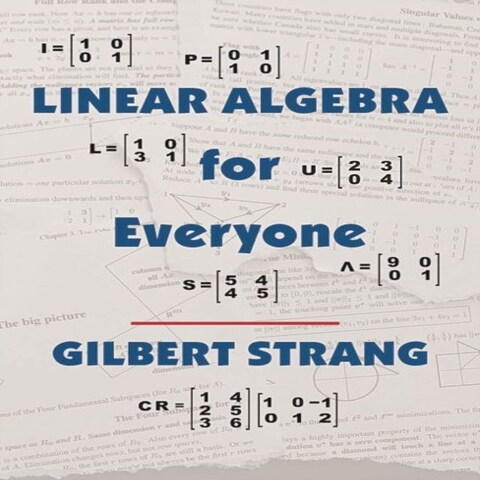 Linear Algebra For Everyone - Tesco Groceries
