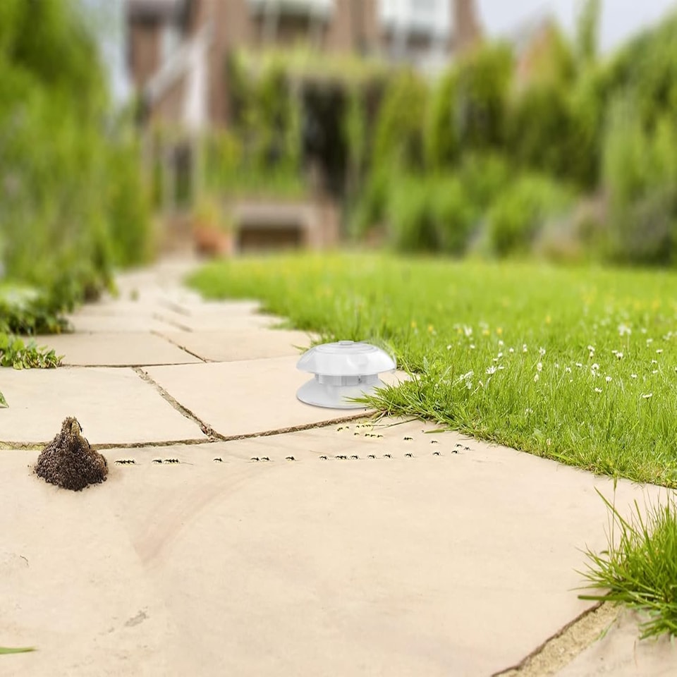 NOPE Refillable Bait Station x 4 Pack and Syringe x 2 Pack - Tesco ...