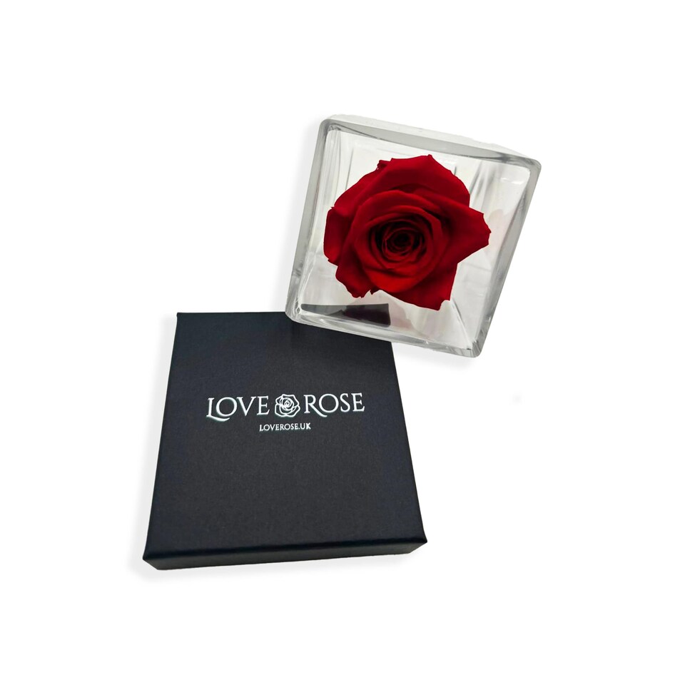 Infinity Red Rose Head in Clear Vase and Gift Box - Tesco Groceries