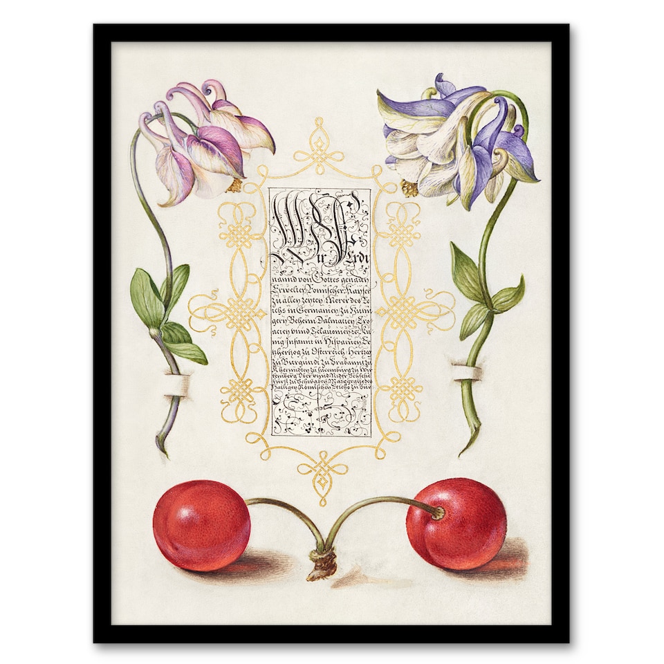 Model Book of Calligraphy Framed Wall Art Columbines and Sweet Cherries ...
