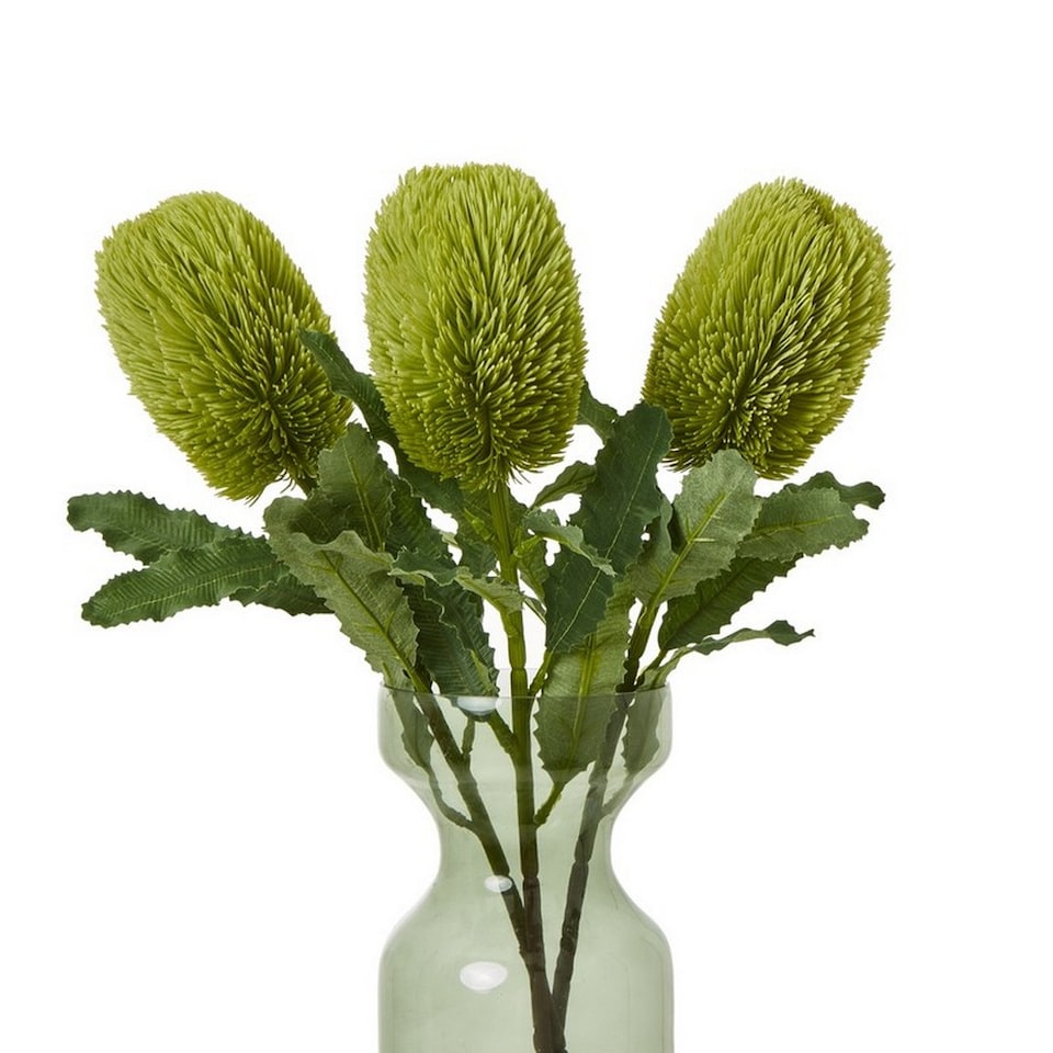 Large Banksia Serrata (Single Stem Flower) - Plastic - Height 65 cm ...
