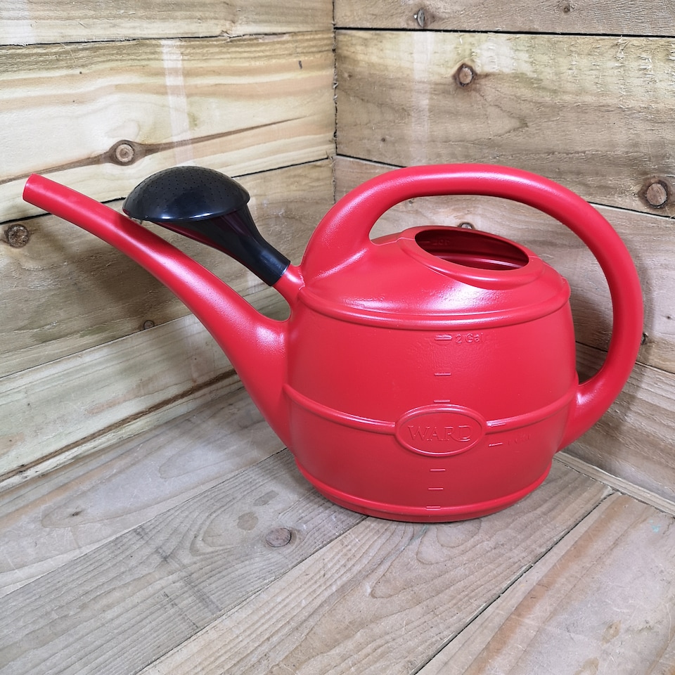 10L Ward Garden Watering Can with Rose - Red - Tesco Groceries