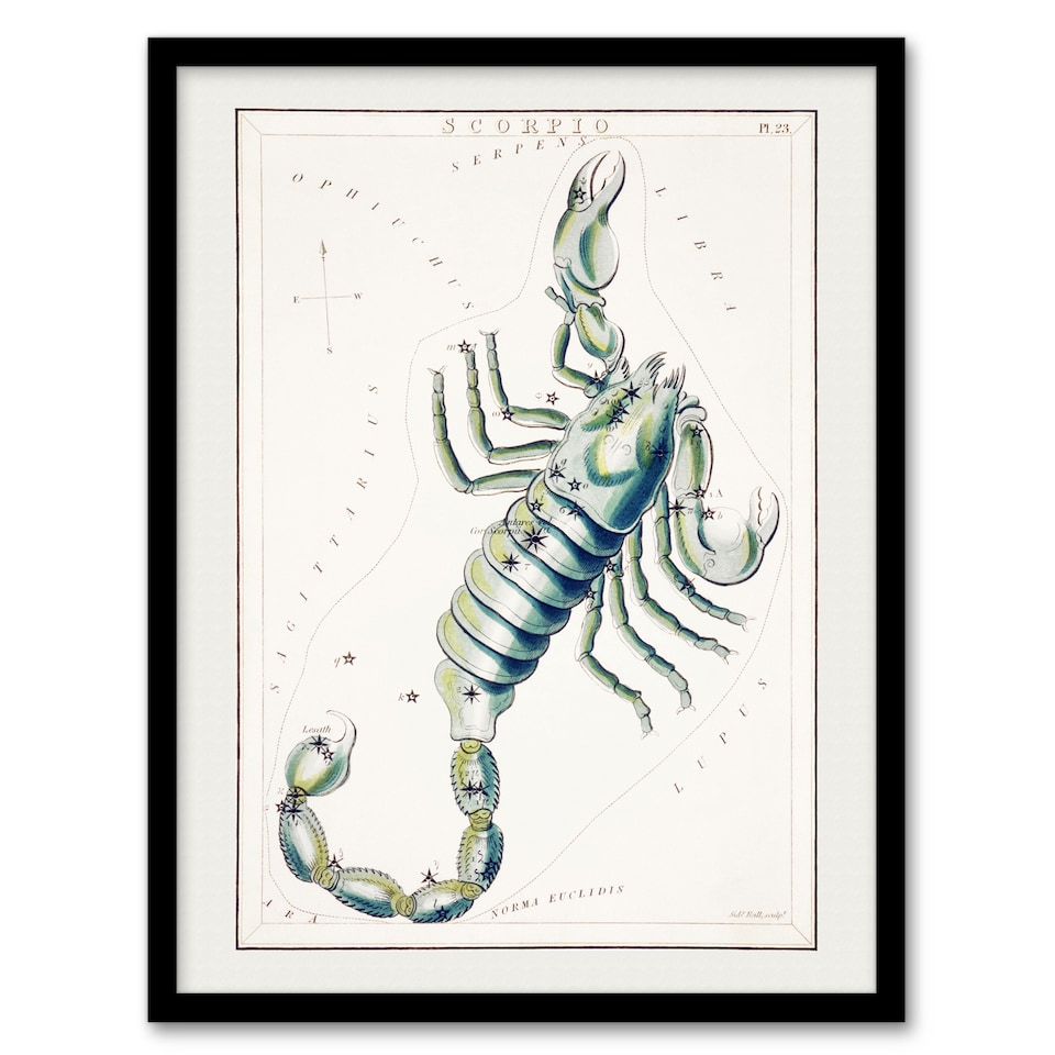 Sidney Hall Astronomical Chart Illustration of Scorpio Framed Wall Art ...