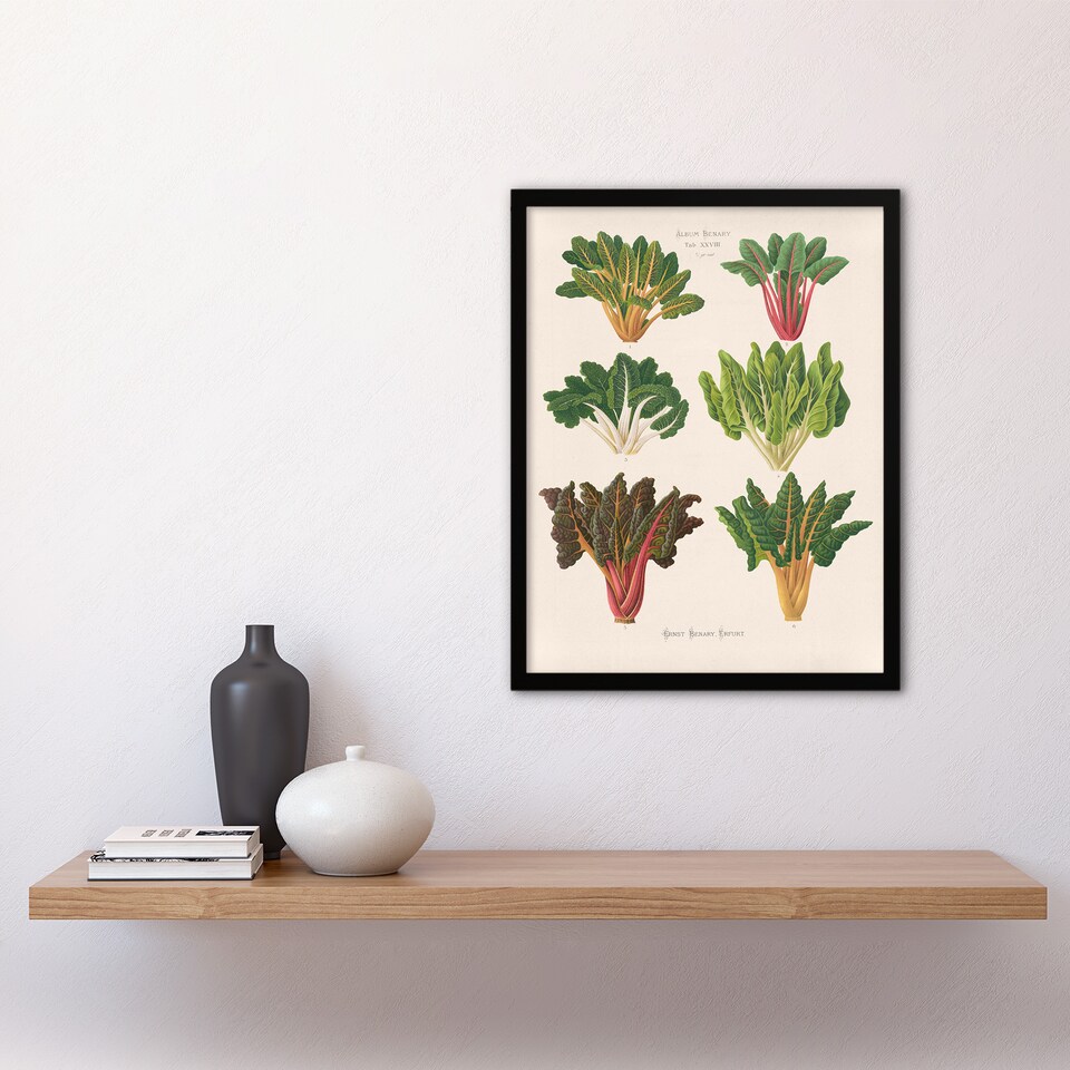 Ernst Benary Beet and Swiss Chard Vintage Botanical Framed Wall Art ...