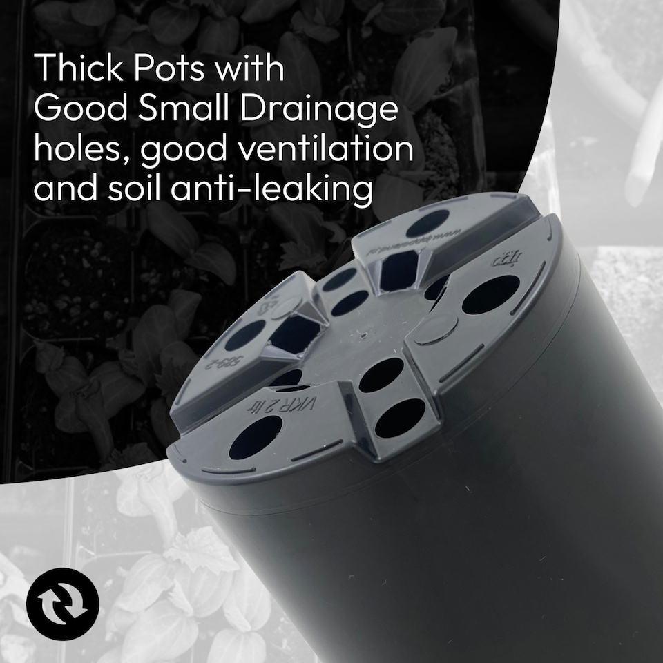 2 Litre Square Black Plant Pots, Strong Plastic Growing and Transplant ...