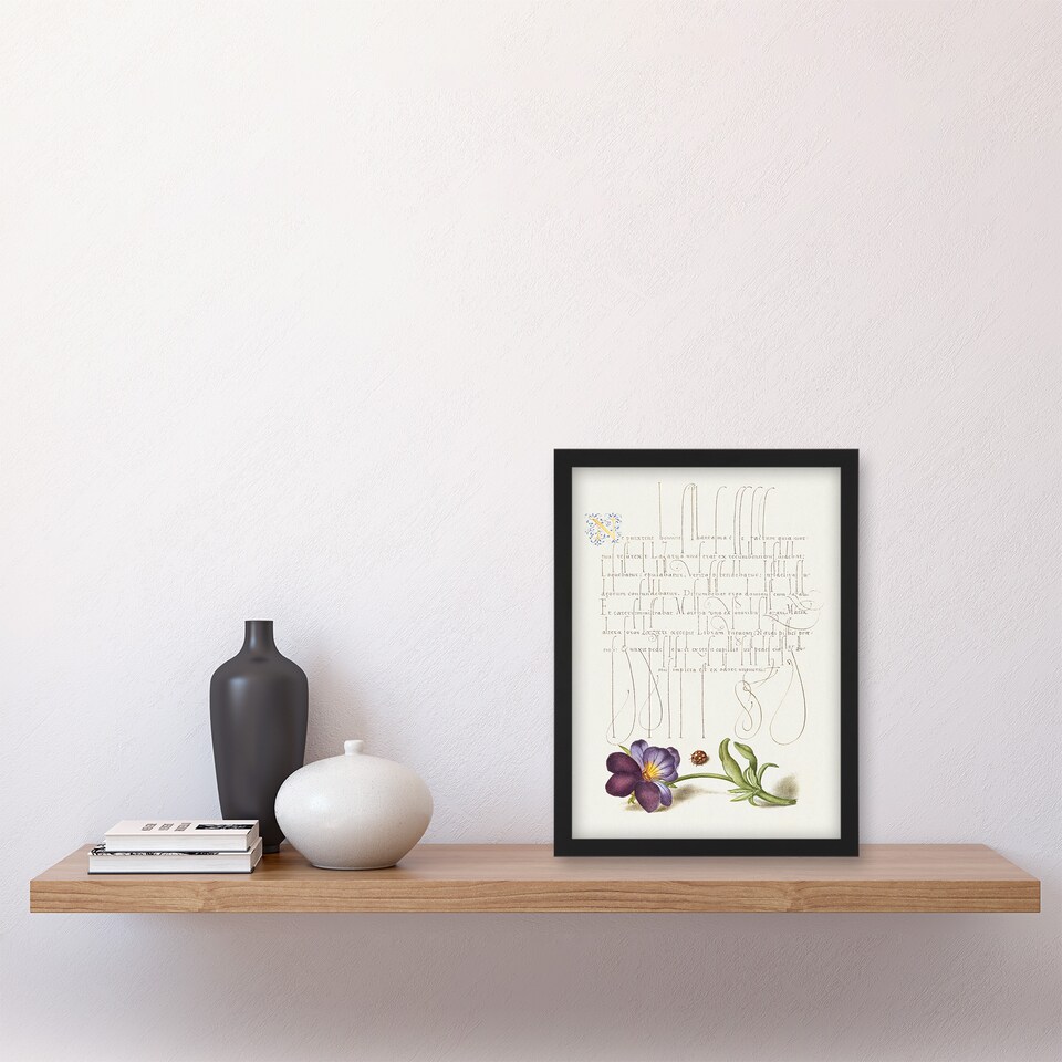 Model Book of Calligraphy Framed Wall Art Ladybird and Wild Pansy Home ...