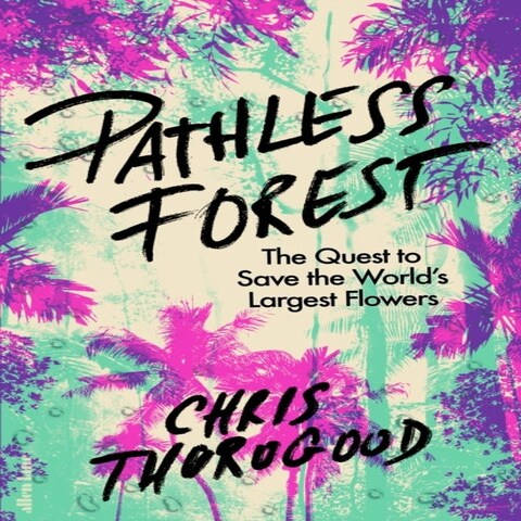 Pathless Forest - Tesco Groceries