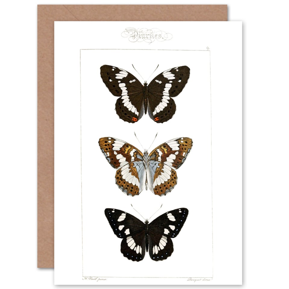 Butterflies Black and Brown Greetings Card - Tesco Groceries