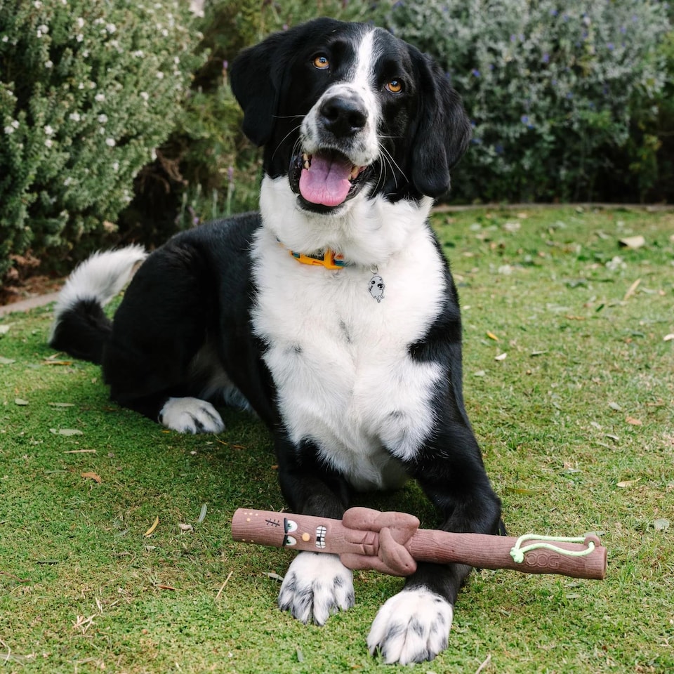 DOOG Durable Floating Dog Throwing Stick - Uncle Chuck - Tesco Groceries