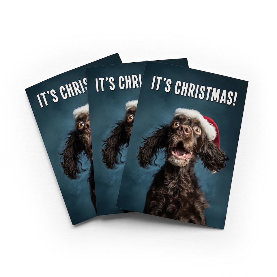 Cocker Spaniel Christmas Card Santa Hat Funny 3 Pack Greeting Cards ...