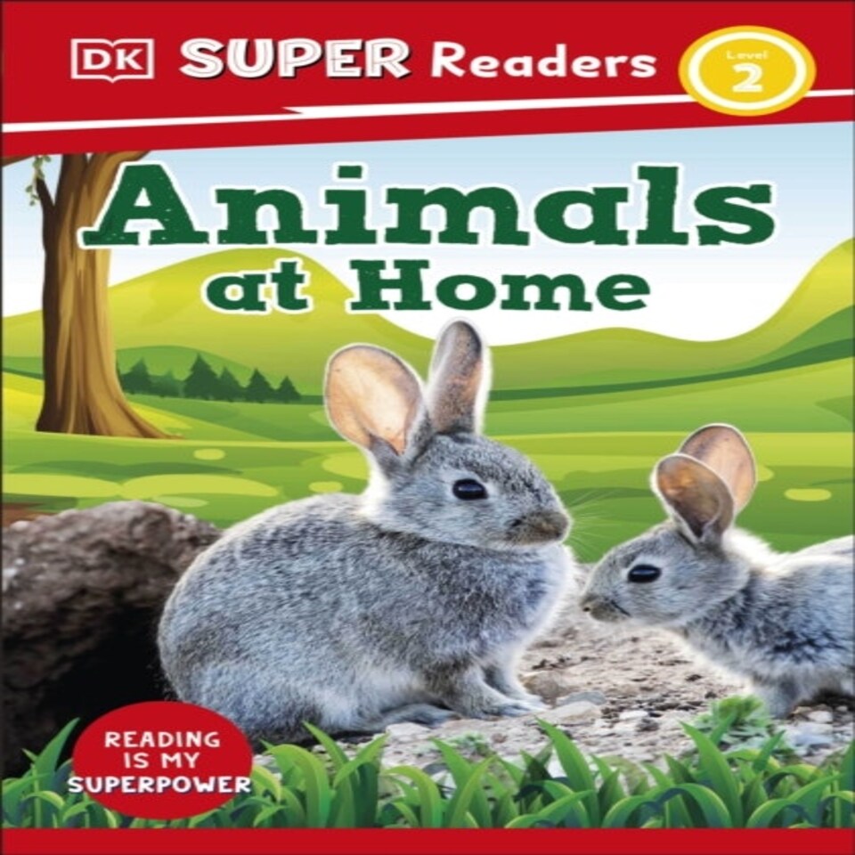Dk Super Readers Level 2 Animals At Home - Tesco Groceries