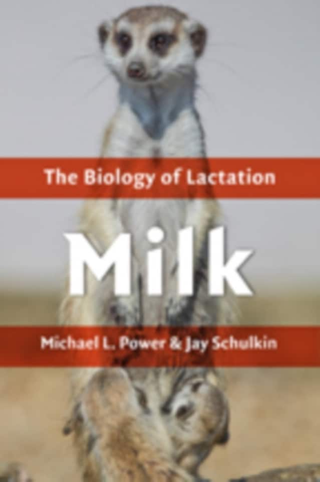 Milk Hardback Book - Tesco Groceries