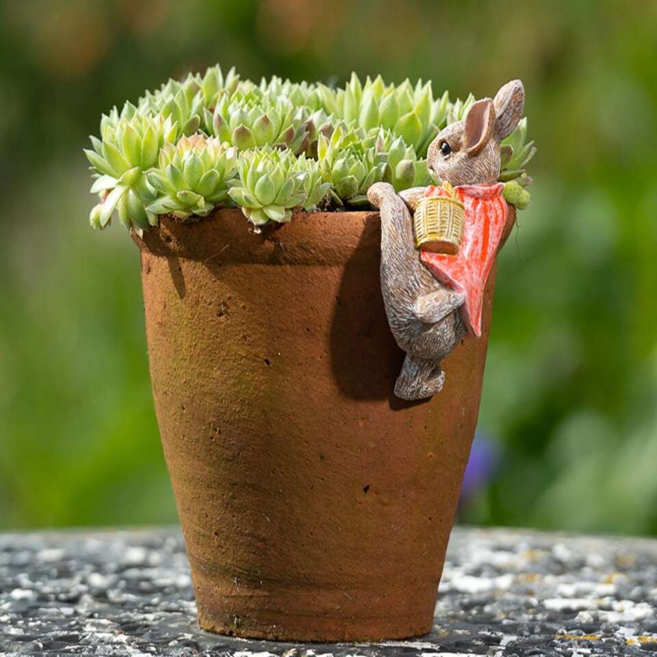 Beatrix Potter Flopsy Bunny Plant Pot Hanger - L11.5 x W6 x H6 cm ...