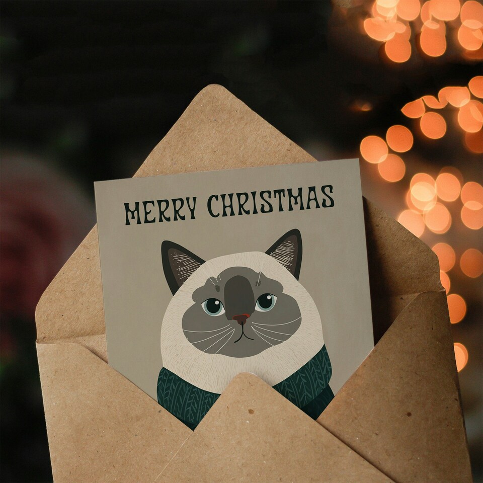 Christmas Card Grey Ragdoll Cat Lover Pet With Festive Sweater - Tesco ...