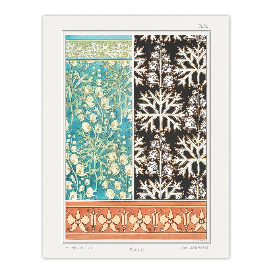 Aconite Monkshood Floral Patterns Vintage Wall Art Print Verneuil 24x32 ...