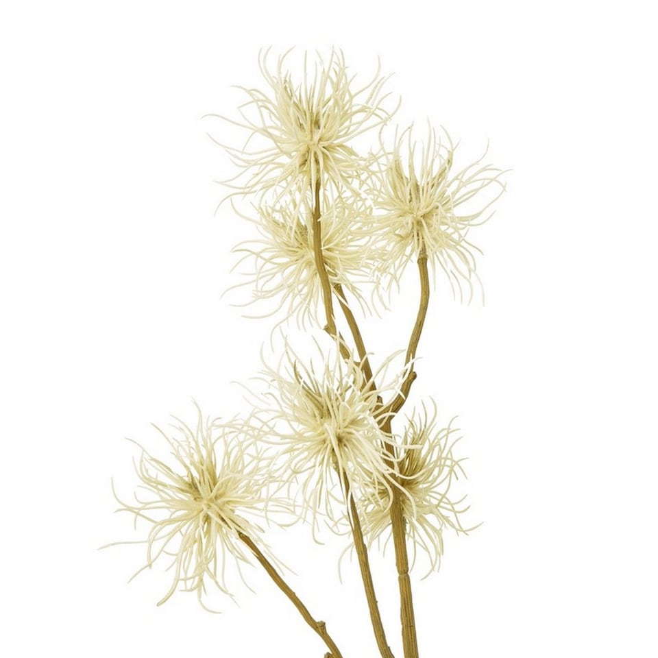 Xanthium Spray (Single Stem Flower) - Plastic - Height 81 cm - Cream ...