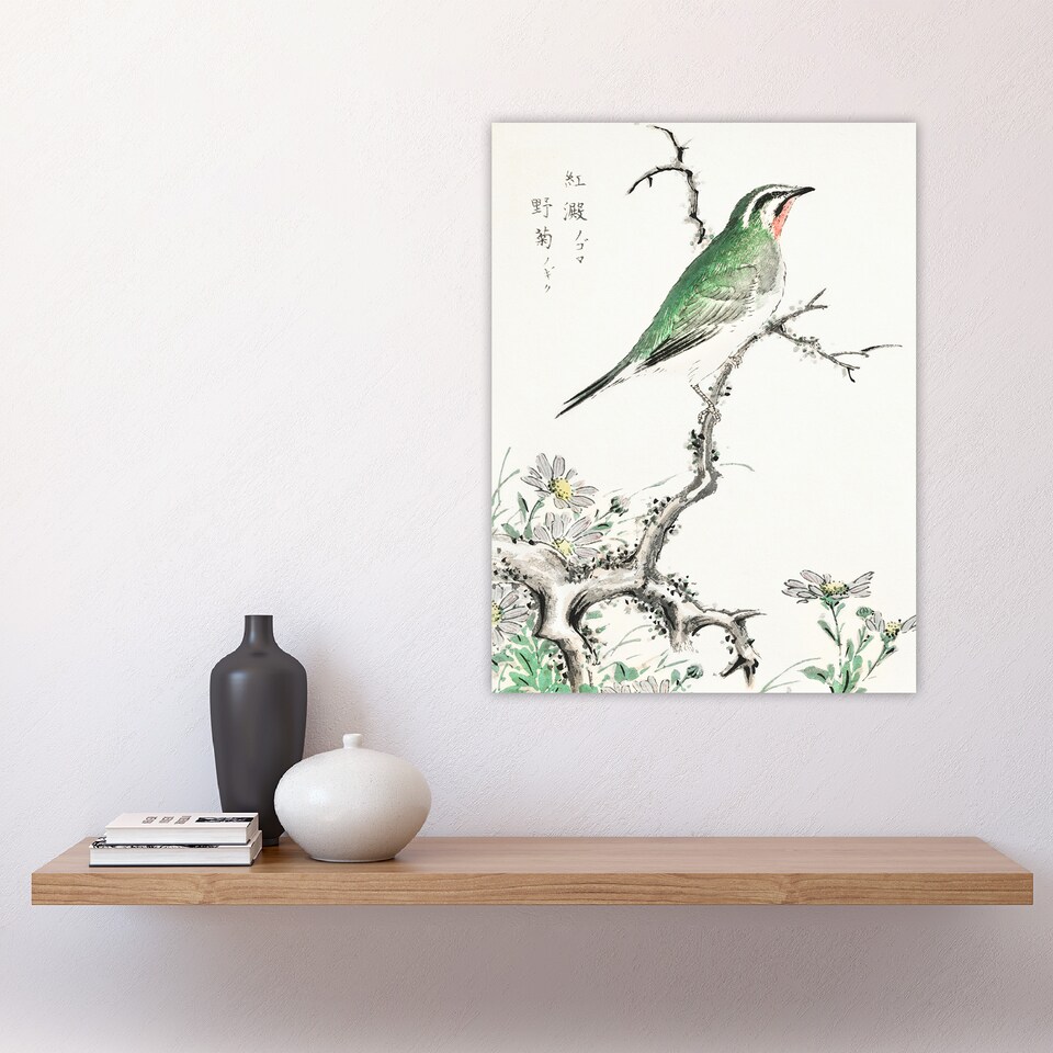Ruby Throat Bird and Wild Camomile Vintage Wall Art Print Kashu 18x24 ...