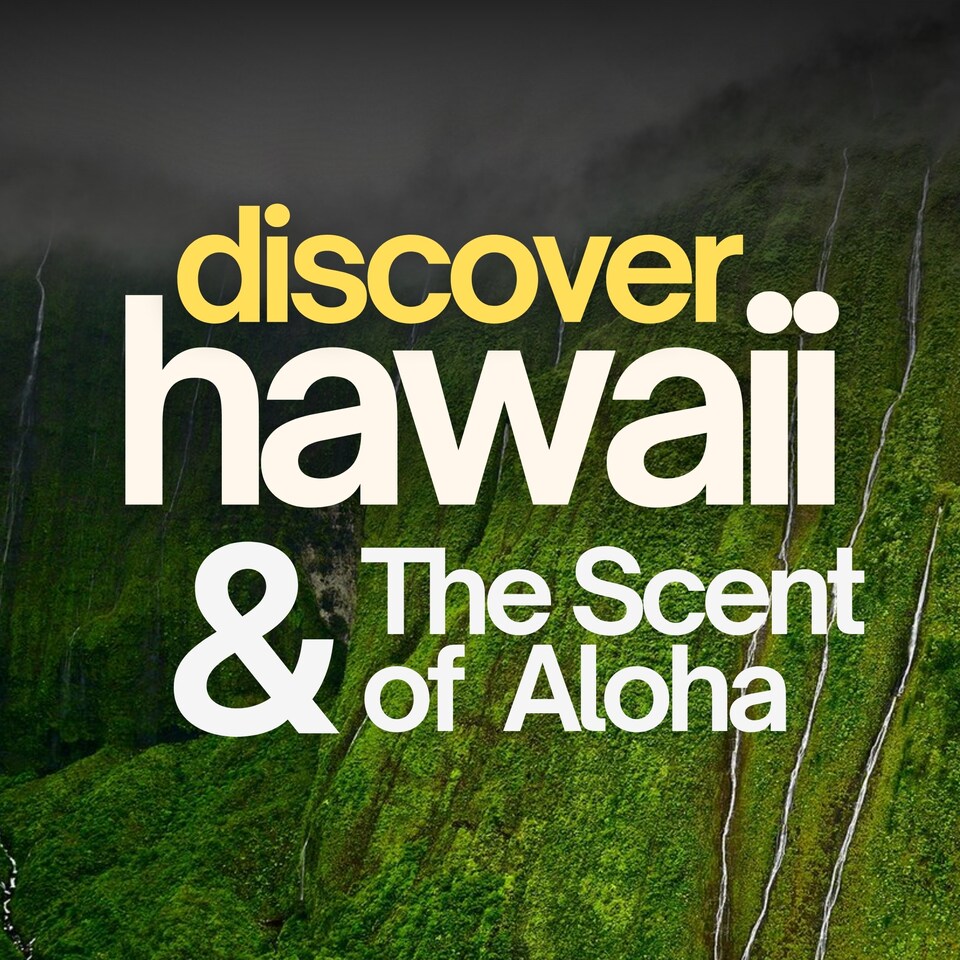 Na Pali Coconut, Pink Grapefruit , Pineapple and Vanilla Scented Candle ...