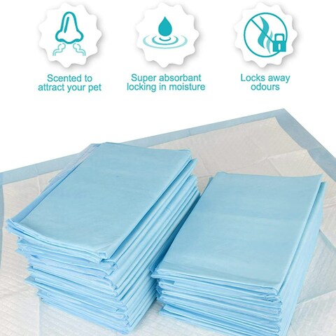 Petsentials Puppy Training Pads Large - 105 Mega Pack - Tesco Groceries