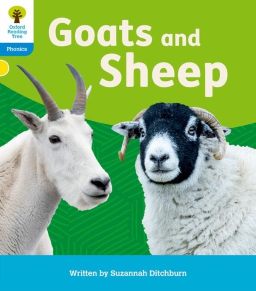 Oxford Reading Tree: Floppy's Phonics Decoding Practice: Oxford ...