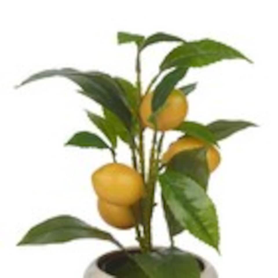 Artificial Citrus Lemon Fruit Tree Flower Pot | Cream | Cream gloss | 1 ...