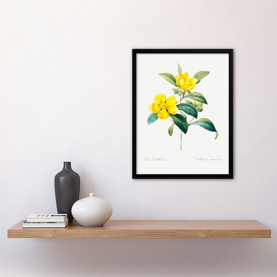 Pierre Joseph Redoute Framed Wall Art Golden Guinea Vine Flowers Home ...