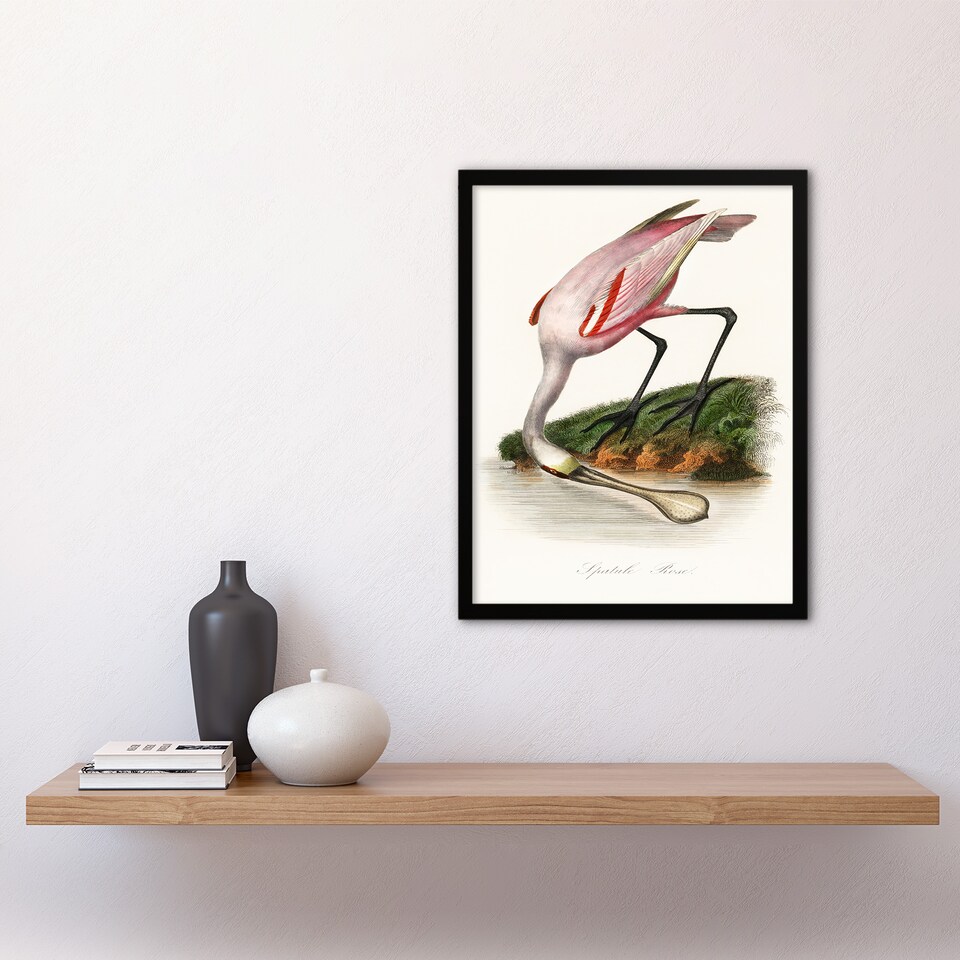 Pierre Bernard Louis Couaihac Framed Wall Art Print Roseate Spoonbill ...