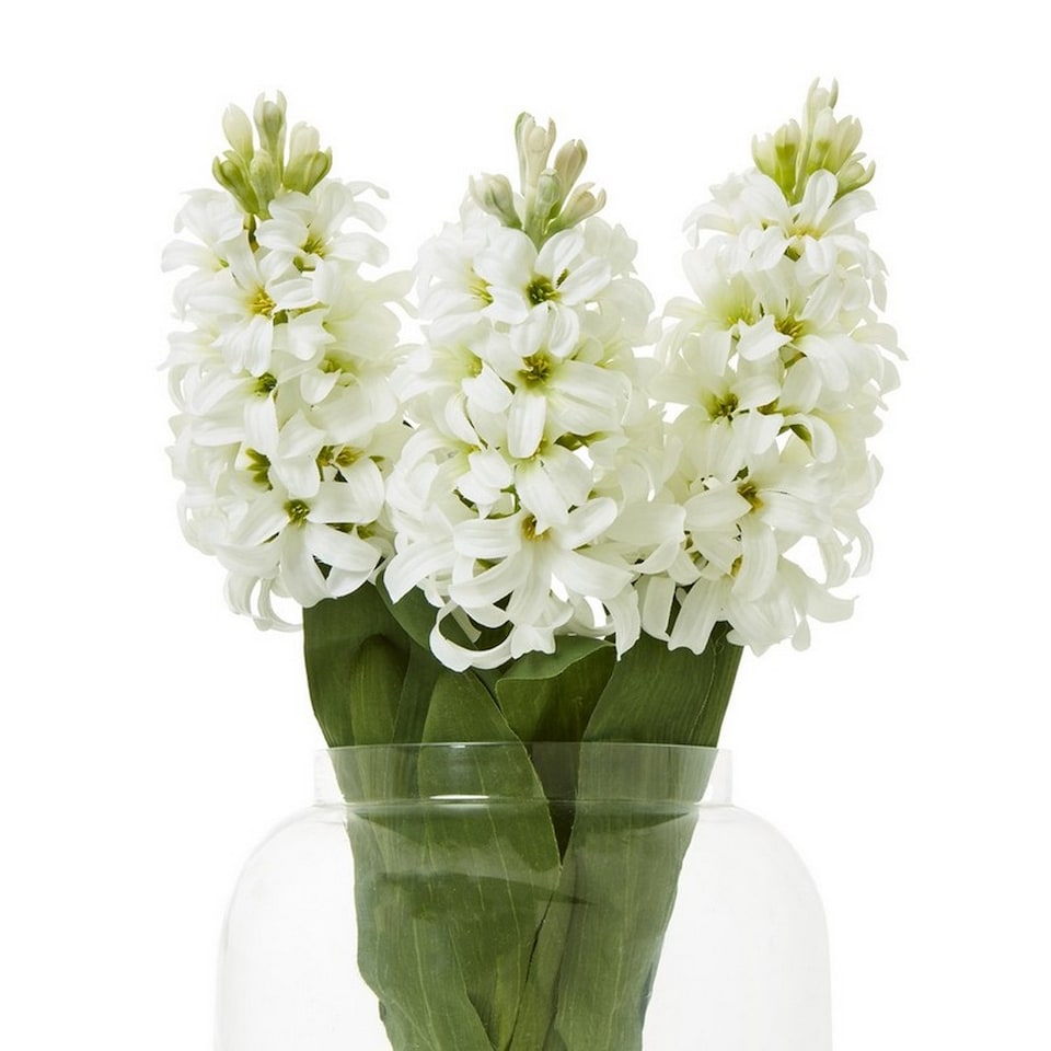 Hyacinth (Single Stem Flower) - Plastic - Height 44 cm - White - Tesco ...