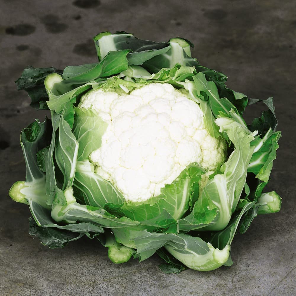 Cauliflower Clapton 20 PostiPlug Plants - Tesco Groceries