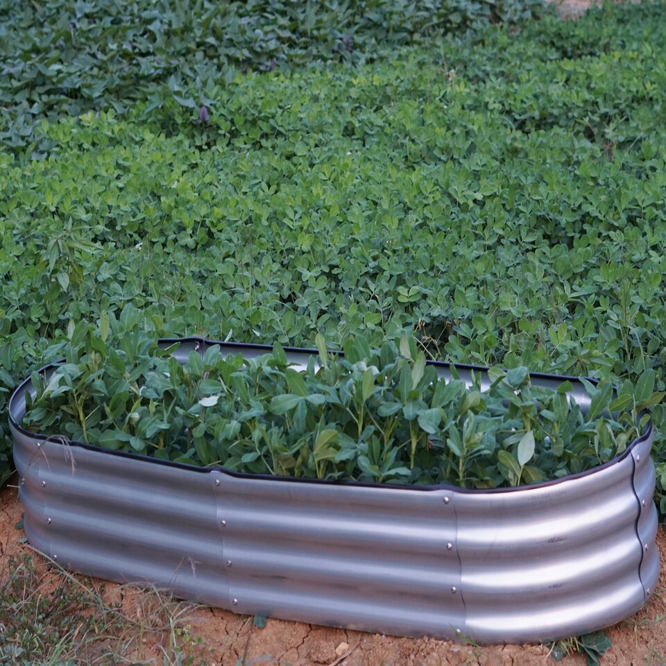 Gr8 Garden Garden Outdoor Raised Bed Planter Oval Galvanised Steel ...