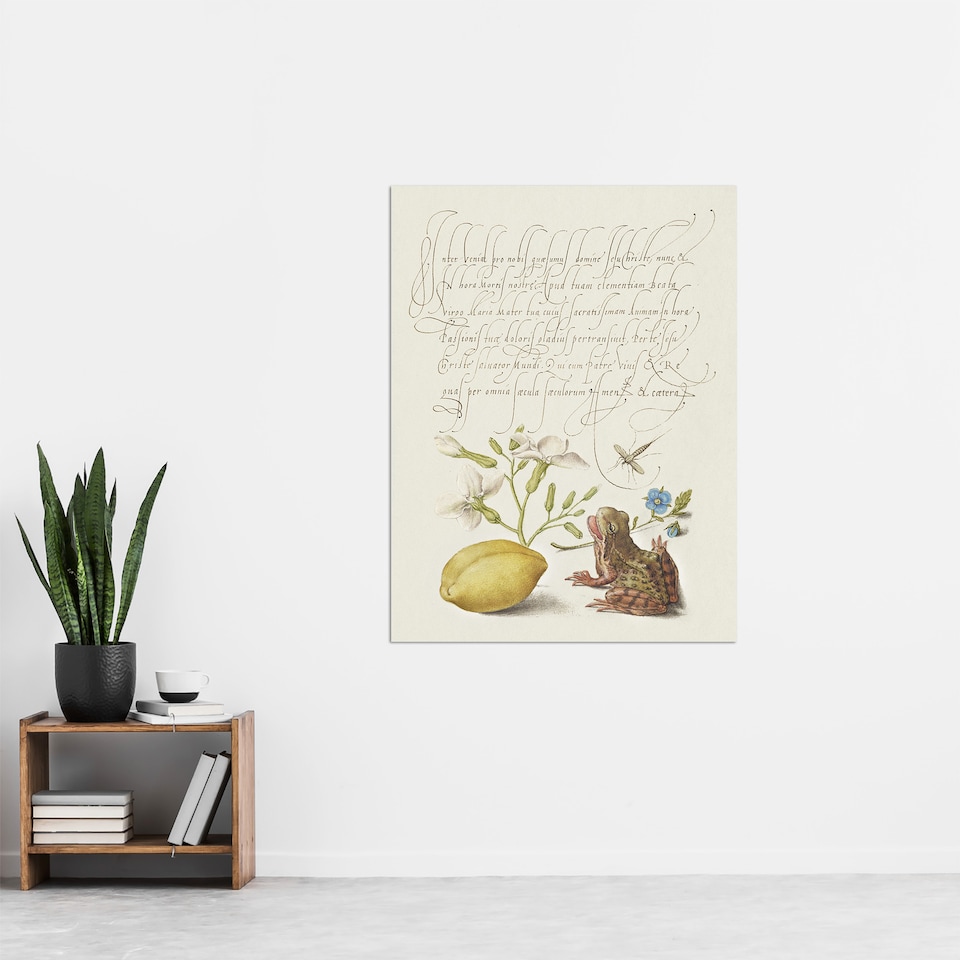 Gillyflower Almond and Frog Calligraphy Huge Wall Art Poster Print ...