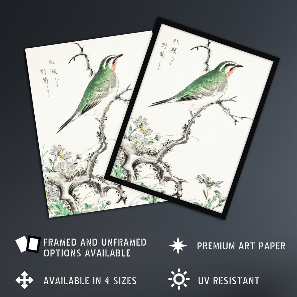 Ruby Throat Bird and Wild Camomile Vintage Framed Wall Art Print Kashu ...