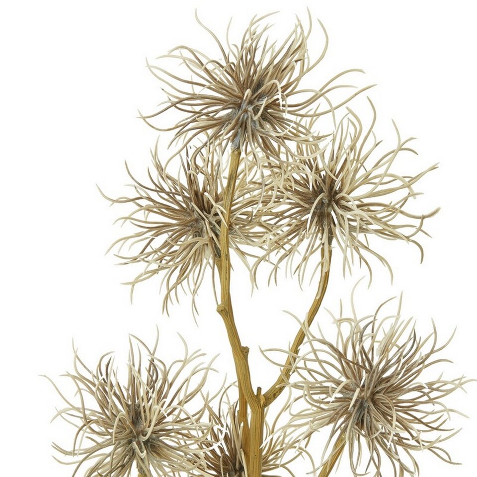 Xanthium Spray (Single Stem Flower) - Plastic - Height 81 cm - Brown ...
