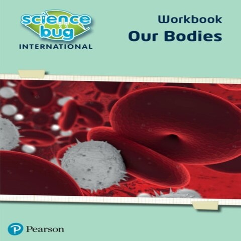 Science Bug: Our Bodies Workbook - Tesco Groceries