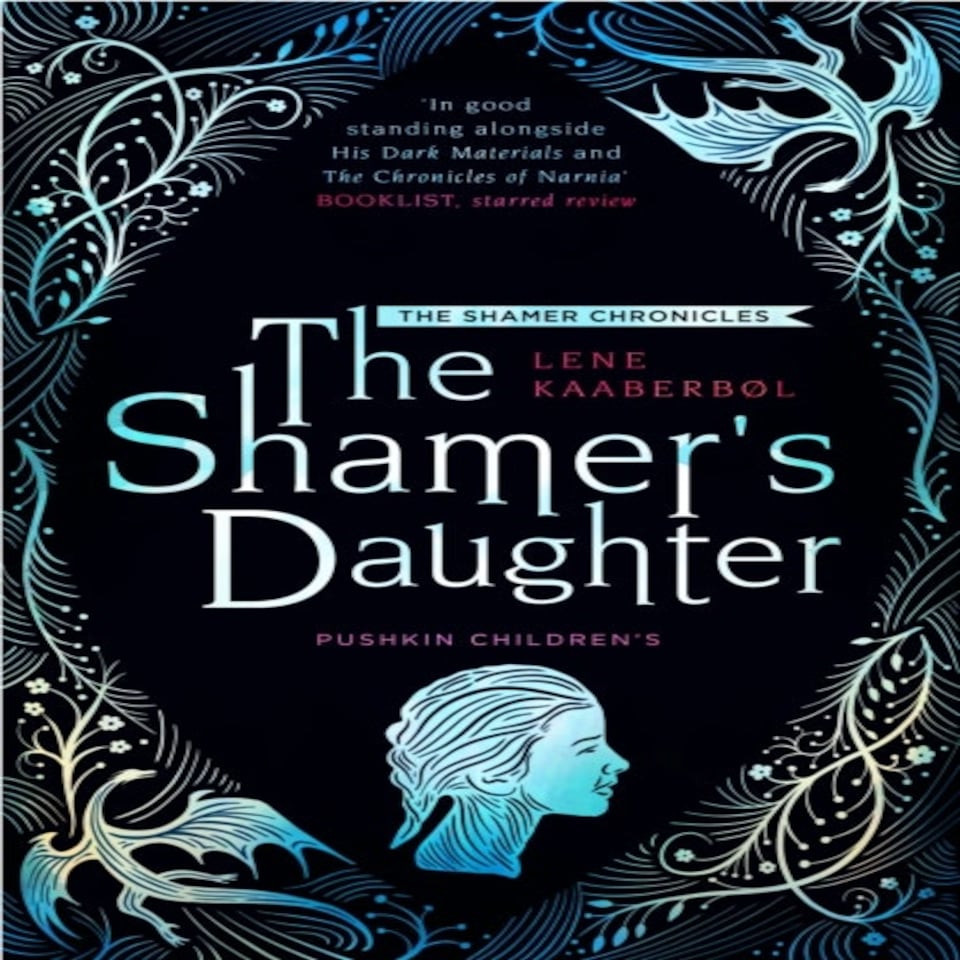The Shamer's Daughter: Book 1 - Tesco Groceries