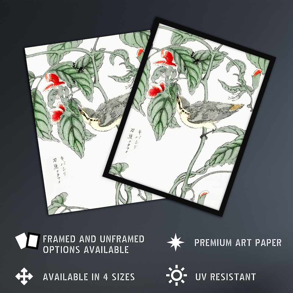 Tree Creeper Pea Japanese Vintage Japan Wall Art Print Kashu 12x16 ...