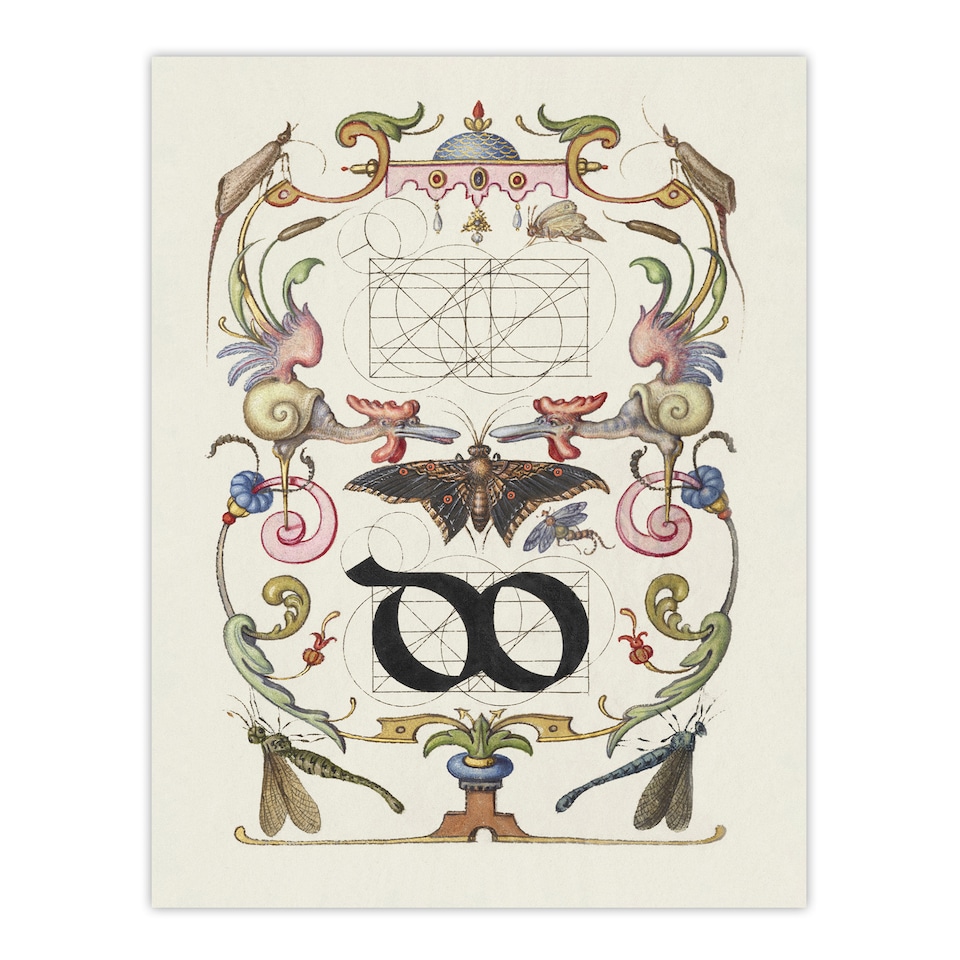 Ligature Guide with Butterfly Calligraphy Wall Art Poster Print 12X16 ...