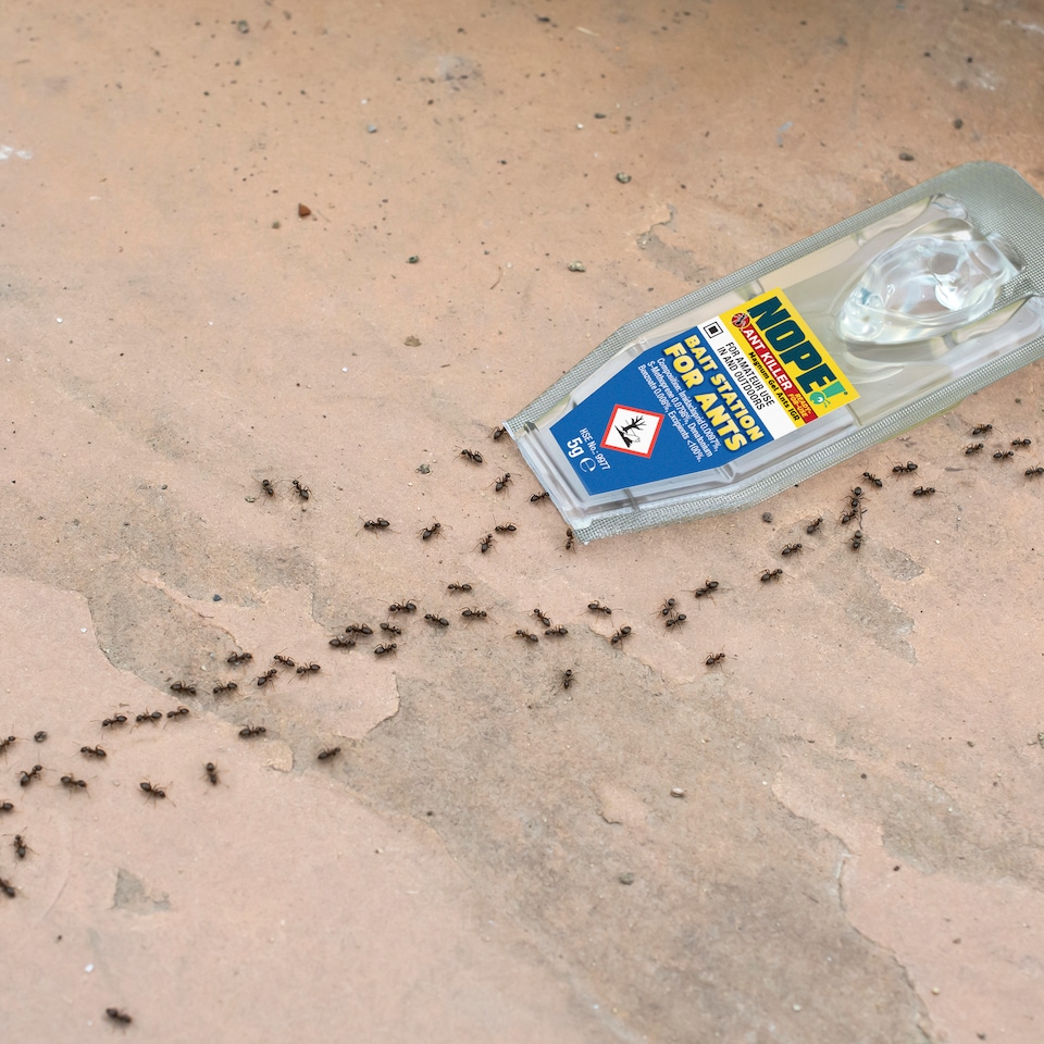 NOPE Ant Killer 3 x Bait Stations Box x 3 Pack - Tesco Groceries