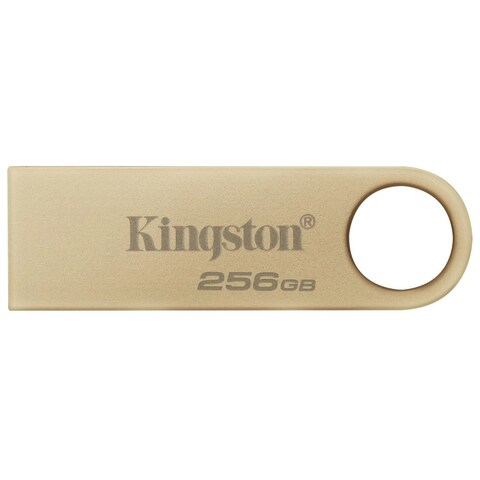 Kingston Technology DataTraveler USB Flash Drive 256GB USB Type-A 3.2 ...