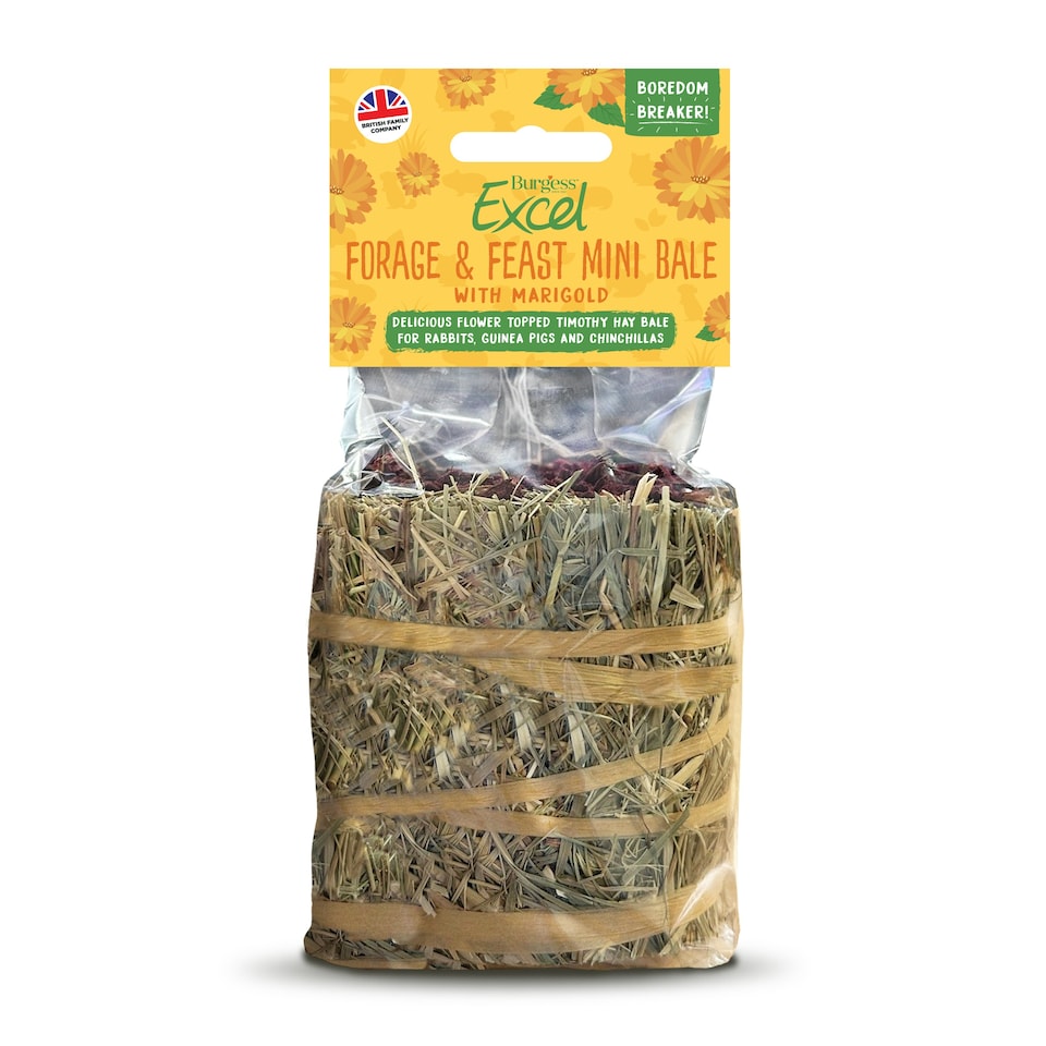 Burgess Excel Forage & Feast Mini Hay Bale - Marigold 100g - Tesco ...