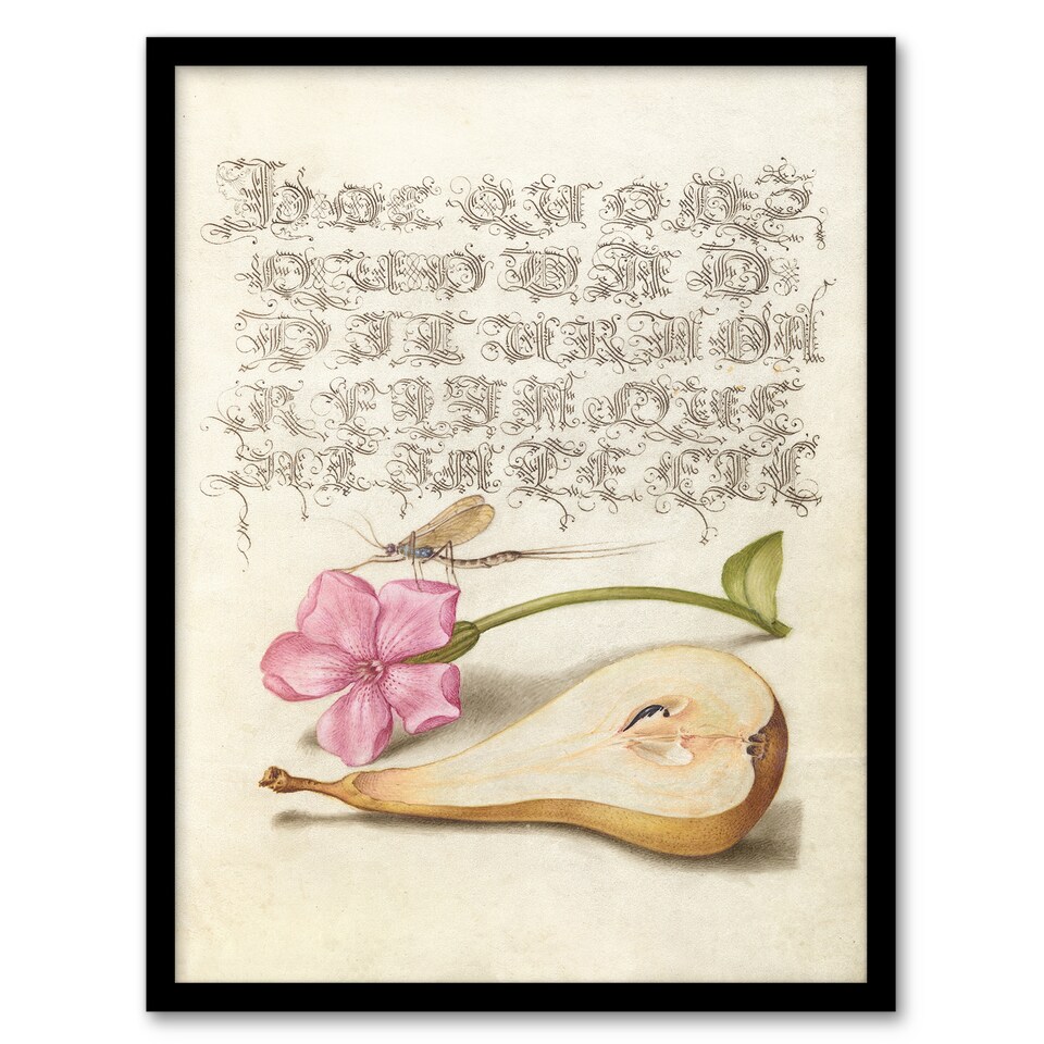 Model Book of Calligraphy Framed Wall Art Mayfly Red Campion and Pear ...