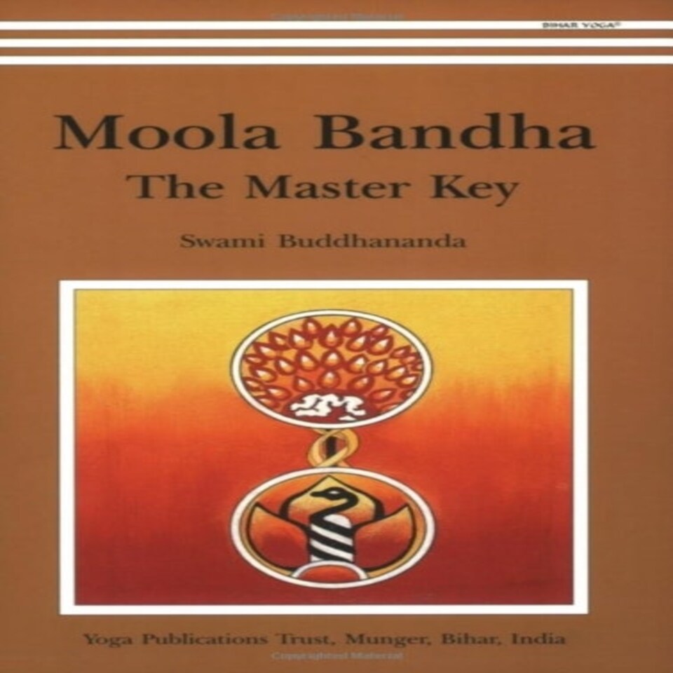 Moola Banda: The Master Key - Tesco Groceries